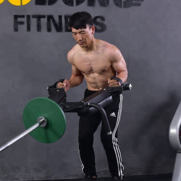 Purmotion Wishbone Budong Landmine attachment Extreme Core Trainer ...