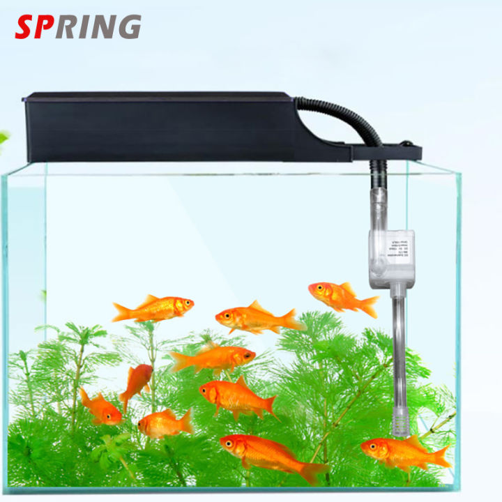 Underground Water Tank Filter Fish