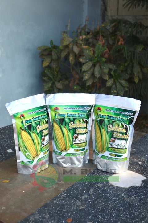 EVO GENE SEEDS: PINOY SWEET CORN SEEDS (500 grams) | Lazada PH
