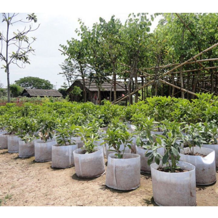 【COD+IN STOCK】 Eco-friendly Garden Tools Thickening Aeration Container ...