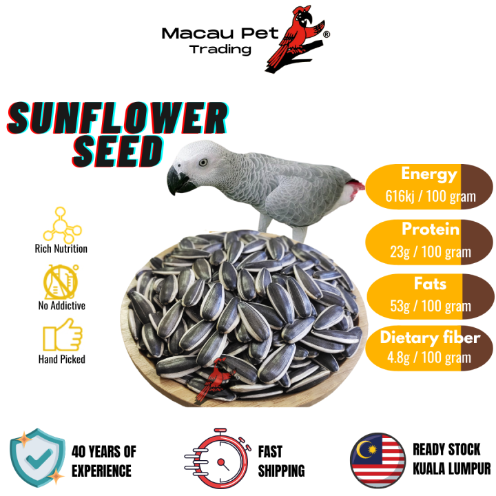 MPT Sunflower seed Sunflower bird seed Kuaci Burung Kuaci parrot Kuaci ...