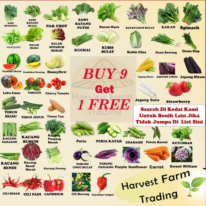 biji benih sayur sayuran pelbagai bunga vegetable seed bibit anak pokok ...