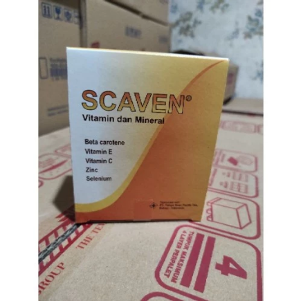 SCAVEN 50'S KAPLET MULTIVITAMIN | Lazada Indonesia