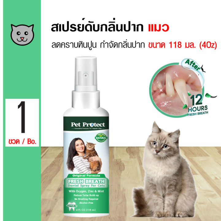 Pet Protect Cat Dental Spray สเปรย์ดับกลิ่นปากแมว สูตร Original ช่วยลด ...