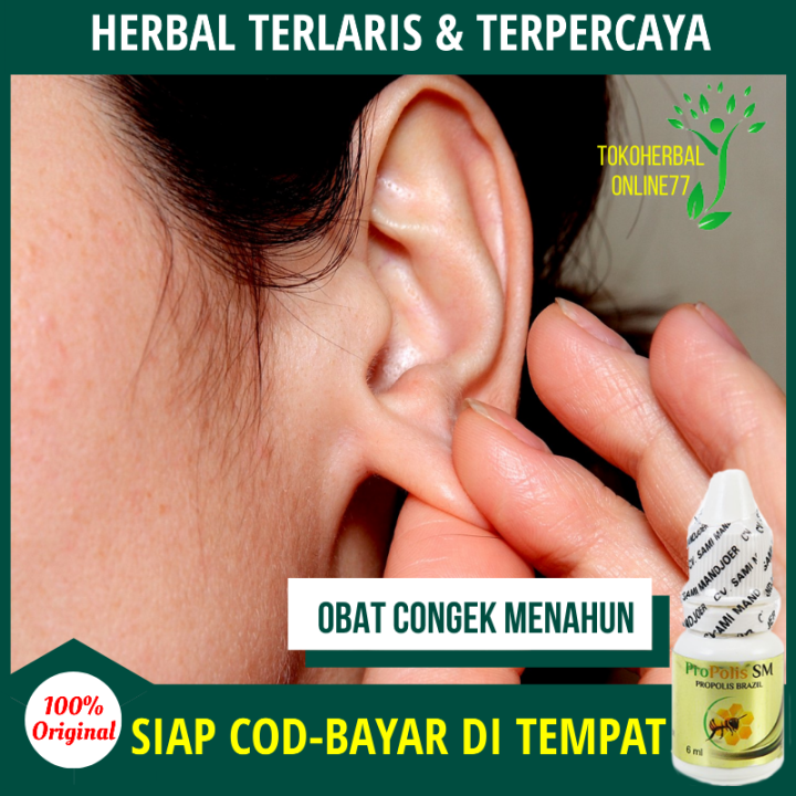 Obat Congek Menahun - Telinga Berair dan Bau, Telinga Bengkak Bagian ...