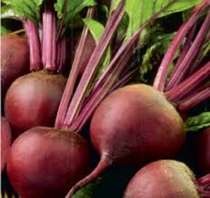 SUGAR BEET Red vegetable seeds hybrid | Lazada PH