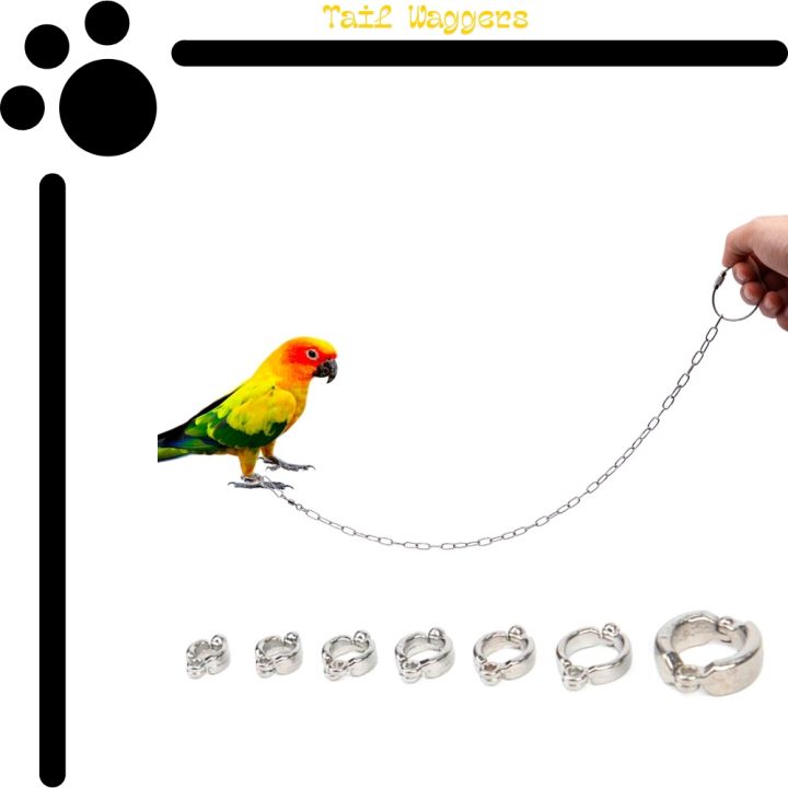 TW Parrot Stainless Steel Foot Ring Chain Opening Activity Ring for ...
