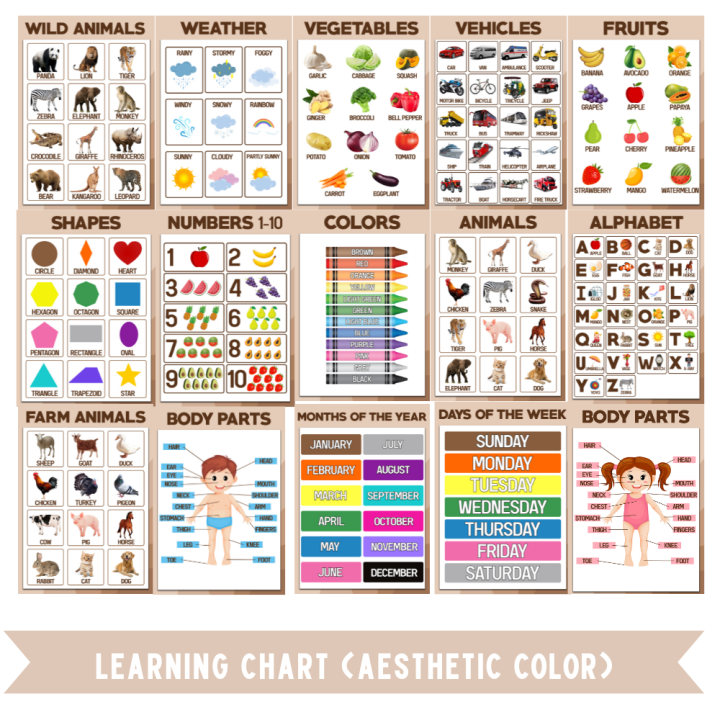 Aesthetic Color A4 Minimalist Laminated Educational Charts for Kids ...