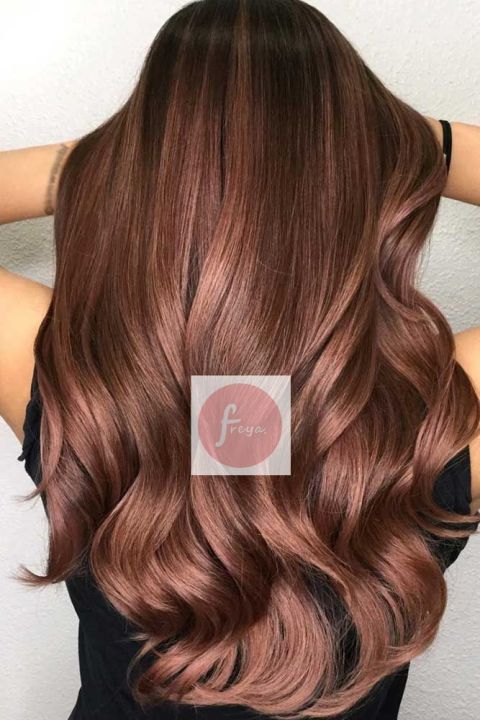 Chestnut Permanent Hair Color Set - ( 44.77 Bremod Hair Dye ) | Lazada PH