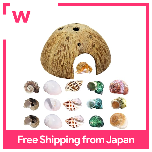 15 hermit crab shell growth shells (7 types) Natural coconut shell hut ...
