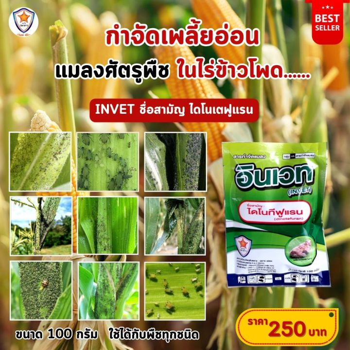 INVET ไดโนเตฟูราน เป็นยาฆ่าแมลงประเภทดูดซึม และปุ๋ยสตาร์เฟอร์ 30-20-5 ...