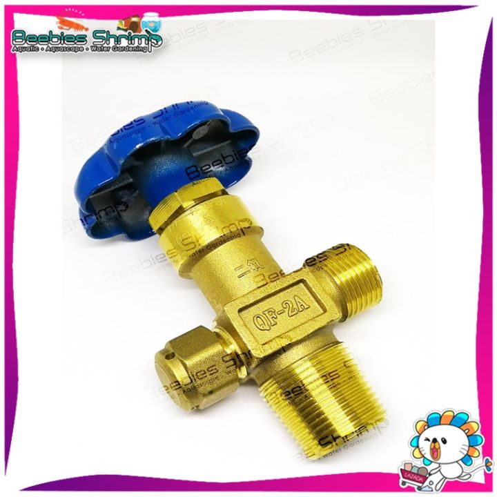 International Standard Size CO2 Control Valve Head with Safety Valve ...