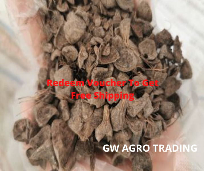 4KG Palm Kernel Shells / 4KG 油棕壳 / 4KG Cangkang Kelapa Sawit ...