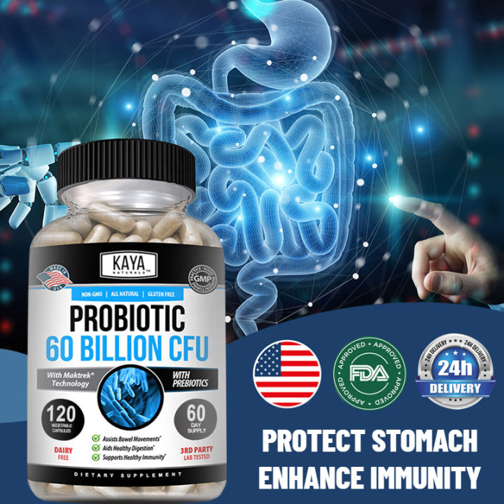 Probiotic 60 Billion CFU-Digestive Health 30/60/120 Capsules Gut Health Supplement ( Contain ...