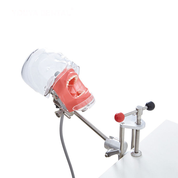 Dental Training Simulator phantom head Dentist Use Dental Laboratory ...