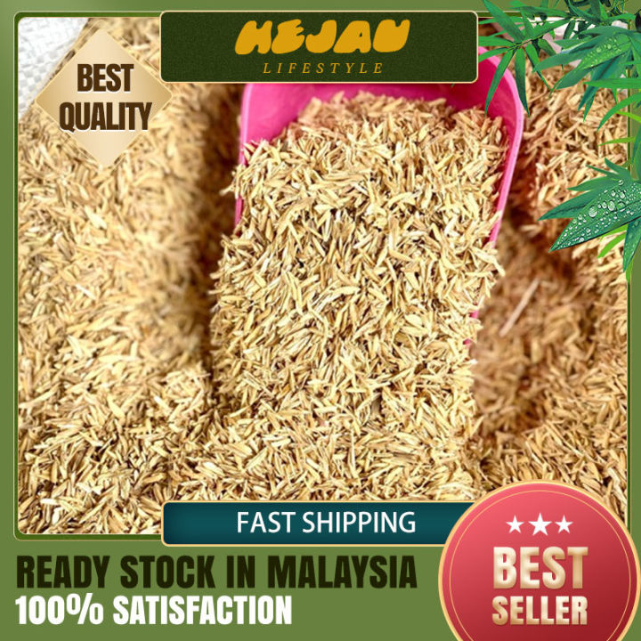【24H SHIP OUT】 (5L) Raw Rice Husks / Sekam Padi | Lazada