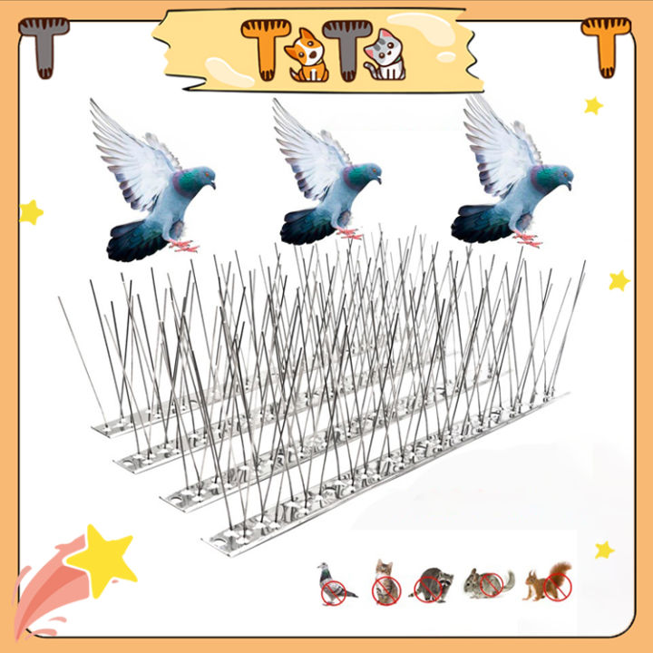 Ti Ti Bird Spikes Stainless For Bird Cage Anti Pigeon Repellent Spikes ...
