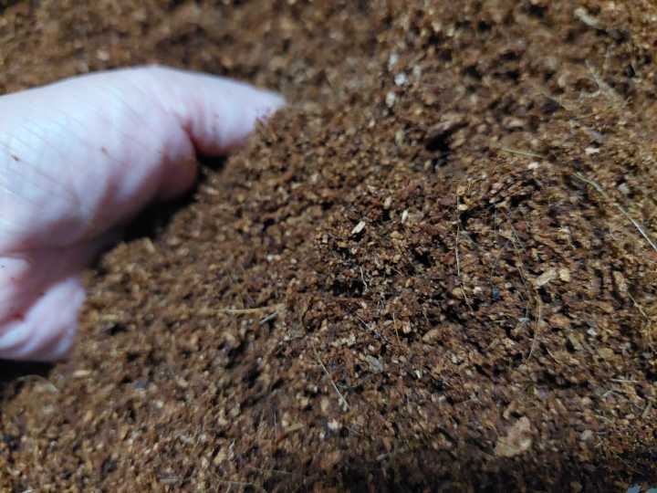 Cocopeat Premium Washed Excellent growing medium for vegetable/Herbs ... Cocopeat Premium Washed Excellent growing medium for vegetable/Herbs ...