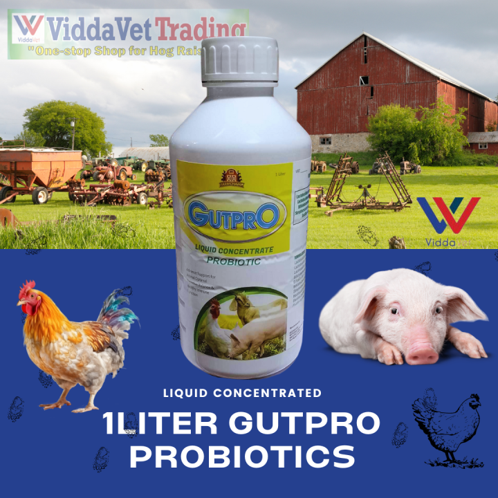 1Liter GutPro Liquid Concentrated Probiotics for chicken poultry pig ...