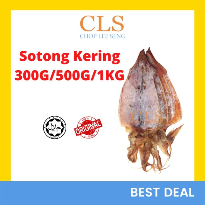 CLS Sotong Kering Dried Squid 吊片干 100g 300g 500g | Lazada