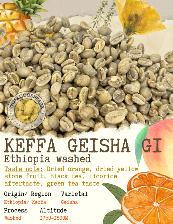 🚚พร้อมส่ง💯 เมล็ดกาแฟดิบ Keffa Geisha Ethiopia washed process/ เมล็ดกาแฟ ...