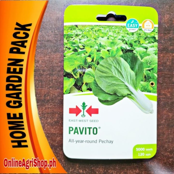 【2023】 PAVITO PECHAY SEEDS OPEN POLLINATED VARIETY (5000 SEEDS) EAST ...