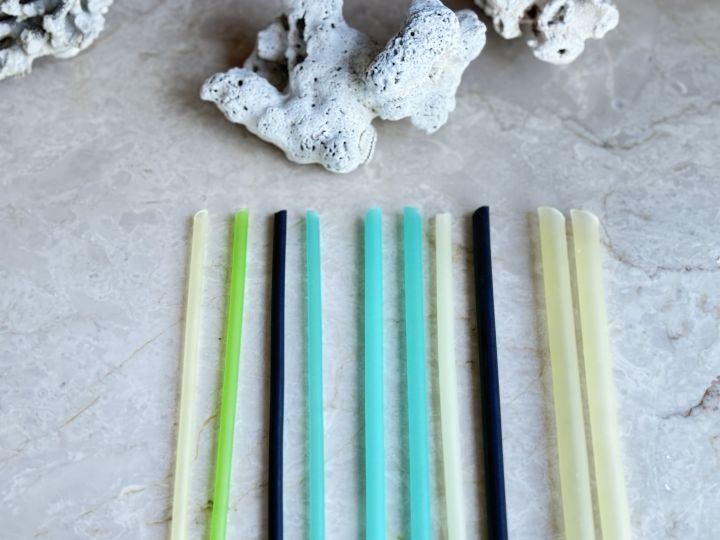 Individually Wrapped Edible Straw Samples by PH Sustainable | Lazada PH