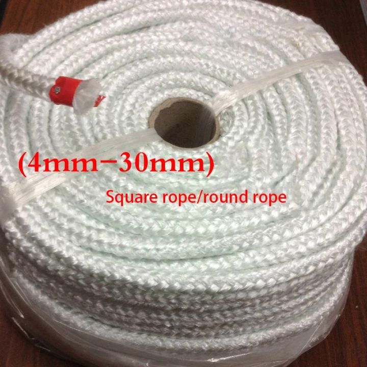 1m Heat-Resistant And Fire-Resistant Glass Fiber Rope Heat-Insulating ...