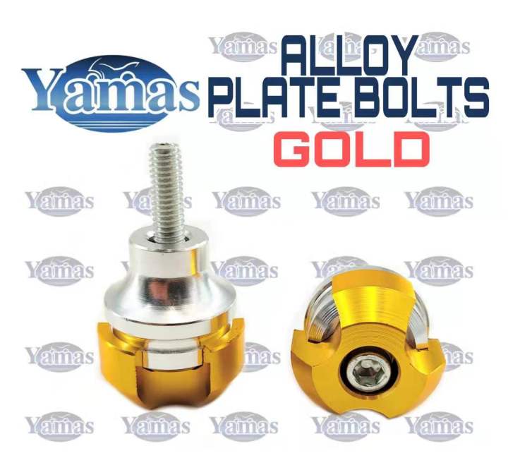 Motorcycle Alloy Plate Holder Bolts | Lazada PH