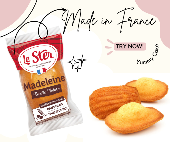Madeleine by Le Ster of France - Party Pack | Lazada