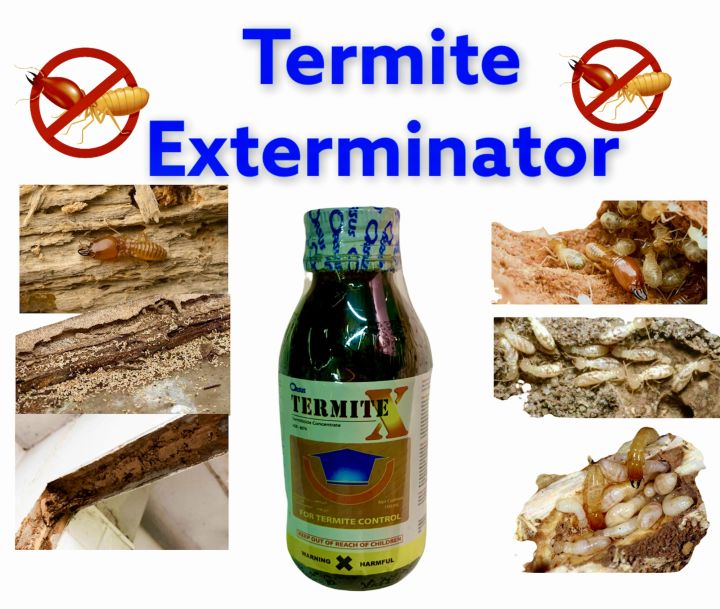 TERMITE X (ANAY EXTERMINATOR) 100ml/250ml | Lazada PH