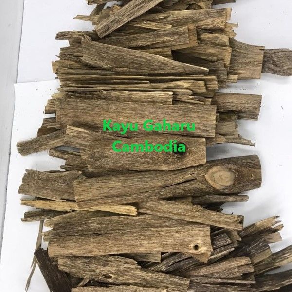 Agarwood Kayu Gaharu Oud Chip 沉香 15g Cambodia Aquilaria Crassna Natural ...