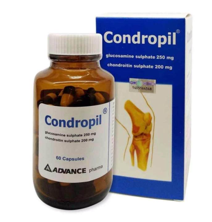 CONDROPIL (GLUCOSAMINE + CHONDROITIN) 60S/BOT | Lazada