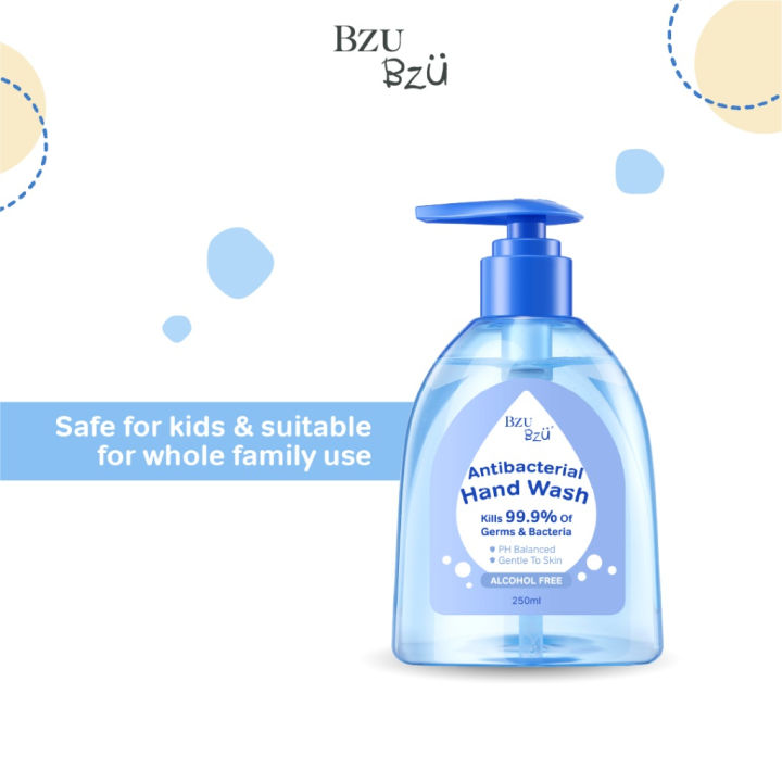 BZU BZU Antibacterial Hand Wash 250ml | Lazada