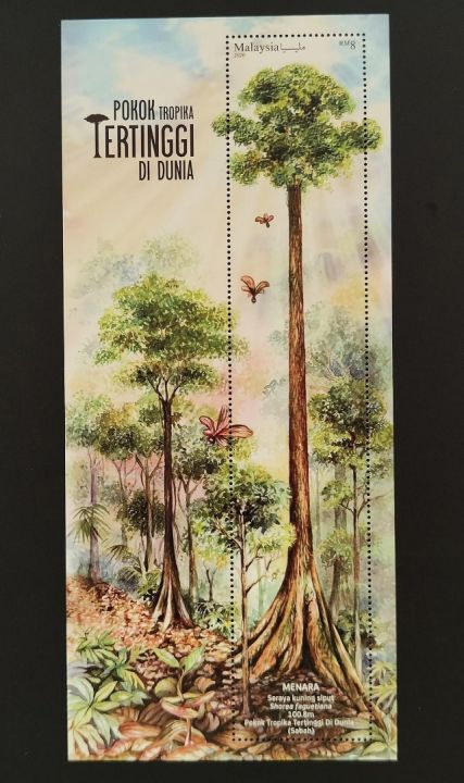 [MSV-0027] 2020 Malaysia Pokok Tropika Tertinggi Di Dunia / World's ...