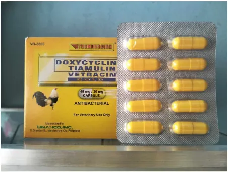 VETRACIN GOLD CAPSULE (S0LD PER 10 TABLET) | Lazada PH