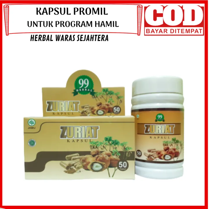Kapsul PROMIL Kurma Muda Dan Zuriat Buah Zuriyat 50 Kapsul (Lebih ...