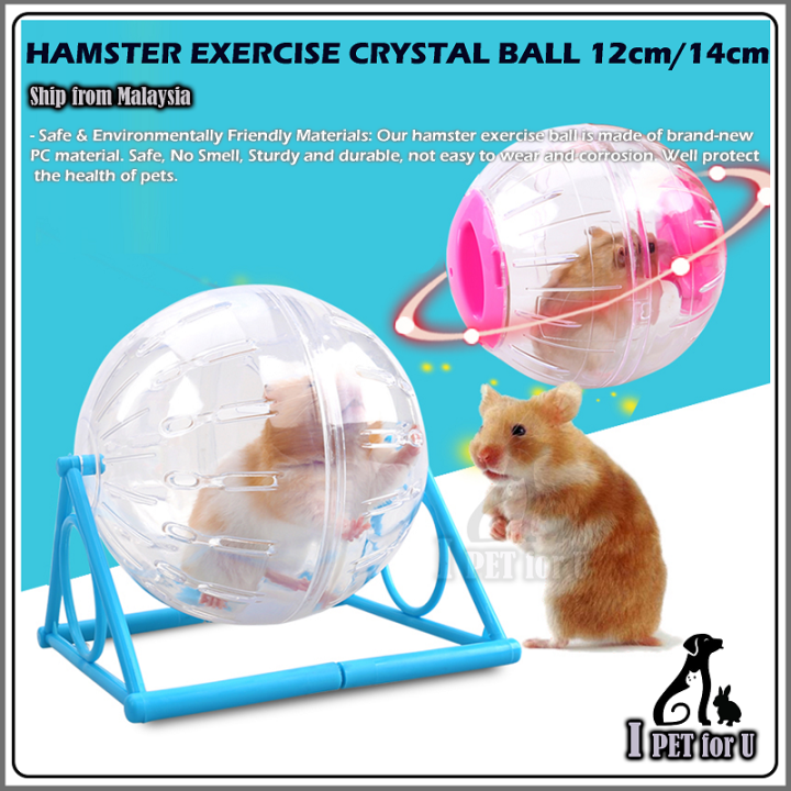 Small Pet Rat Toy Plastic Grounder Sport Ball Transparent Running ...