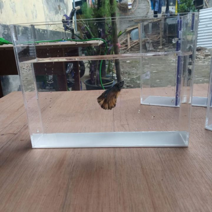 soliter akrilik | Lazada Indonesia