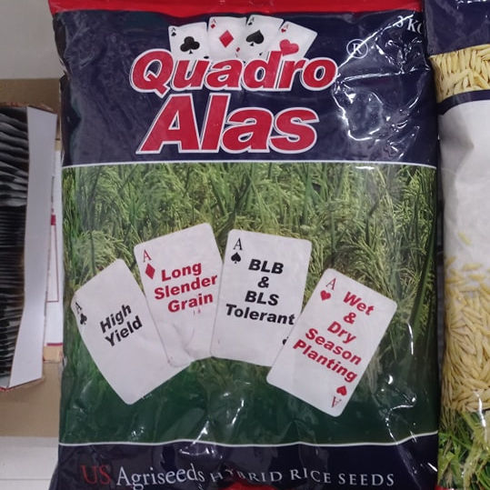 QUADRO ALAS HYBRID RICE SEEDS 3 KILOGRAMS PACK | Lazada PH