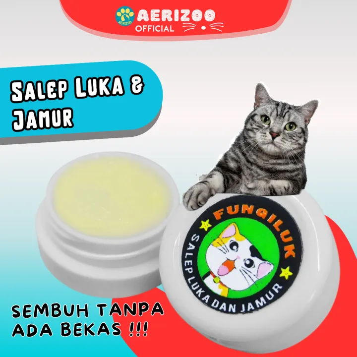 Salep Kucing Gatal Scabies Jamuran Gudik Fungiluk Aerizoo | Lazada ...