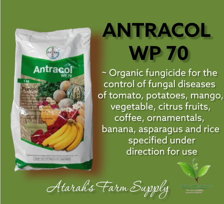 ANTRACOL WP70 Fungicide (1kg) | Lazada PH