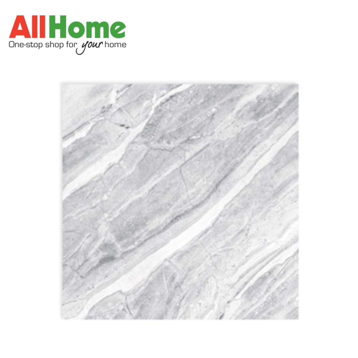 FLOOR TILE LUSTRO WSP 60X60 1022 DAINA GREY | Lazada PH