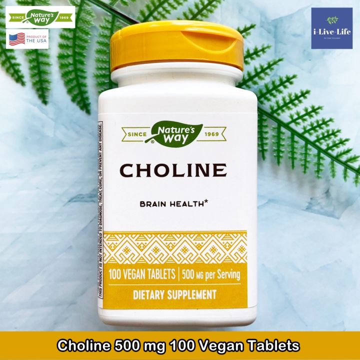 โคลีน Choline 500 mg 100 Vegan Tablets - Nature's Way | Lazada.co.th