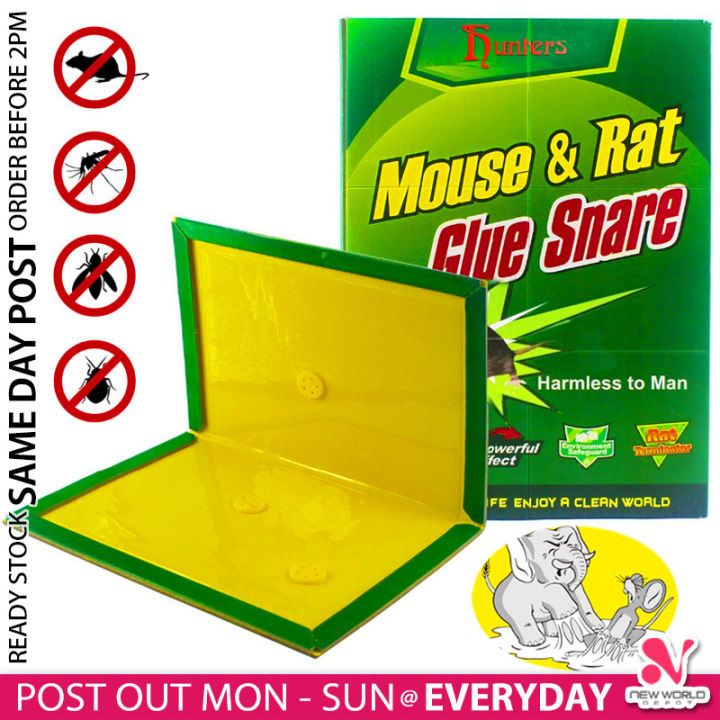 𝗦𝗔𝗠𝗘 𝗗𝗔𝗬 𝗣𝗢𝗦𝗧 》Super Glue Mouse Trap Snake Bugs Rat Mice Catcher Board ...