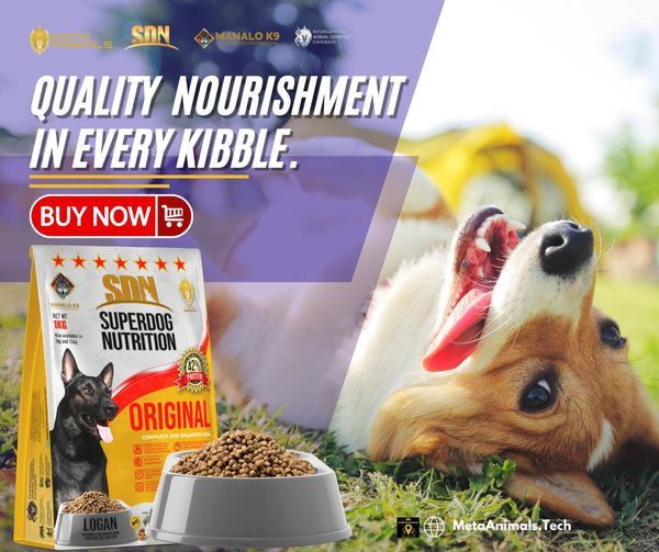 SuperDog Nutrition SDN 42 Original All Breed and Sizes 5KG SuperDog ...
