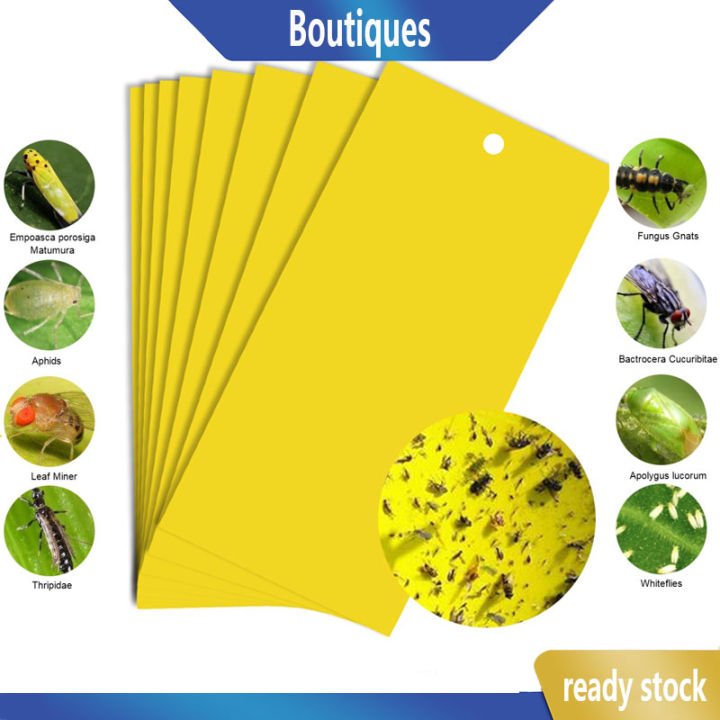 Pelekat serangga Double-Sides Yellow Sticky Trap Flies Trap Insect ...