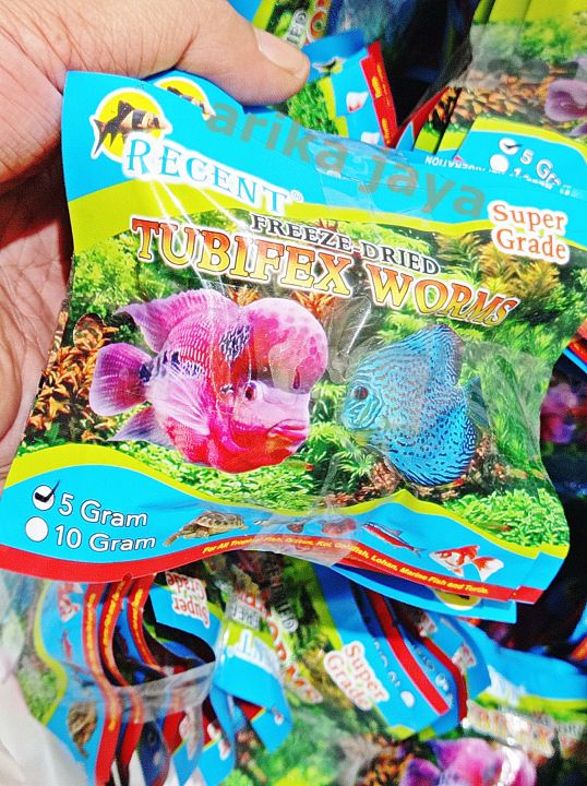 NEW RECENT Cacing kering pakan makanan ikan discus cupang guppy louhan ...
