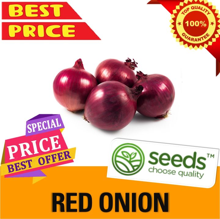 RED ONION SEED - VALUE PACK SEEDS | Lazada PH