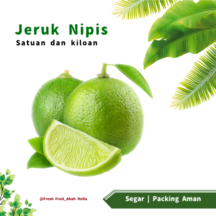 JERUK NIPIS | 1/2 KG - 1 KG | STOK BARU | HARGA TERJANGKAU | Lazada ...
